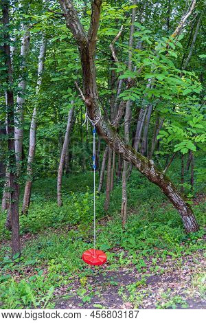 Single Rope Tree Swing Image & Photo (Free Trial) | Bigstock