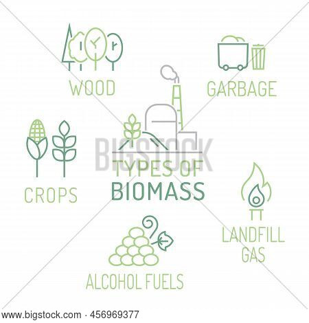 Types Biomass. Vector & Photo (Free Trial) | Bigstock