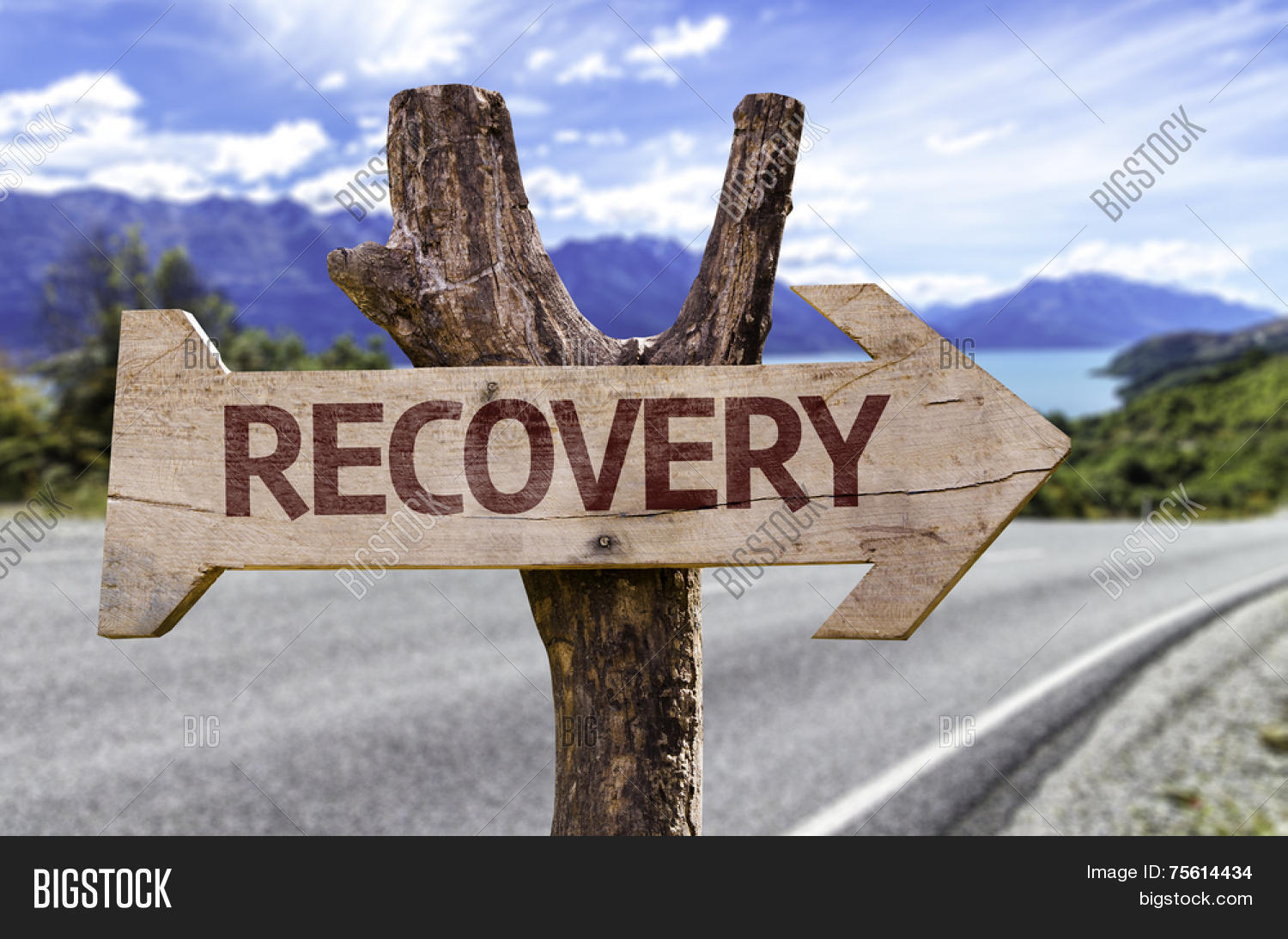 Recovery Wooden Sign Image & Photo (Free Trial) | Bigstock