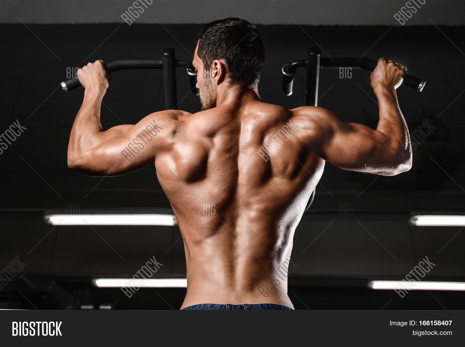Back Muscle Man’s Image & Photo (Free Trial) | Bigstock