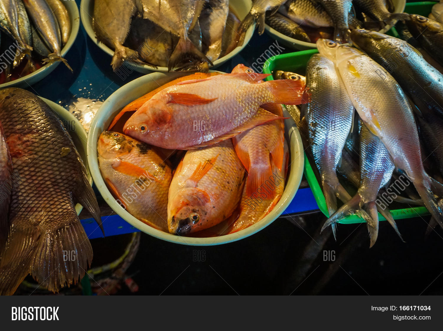 Freshwater Fish Sold Image & Photo (Free Trial) | Bigstock