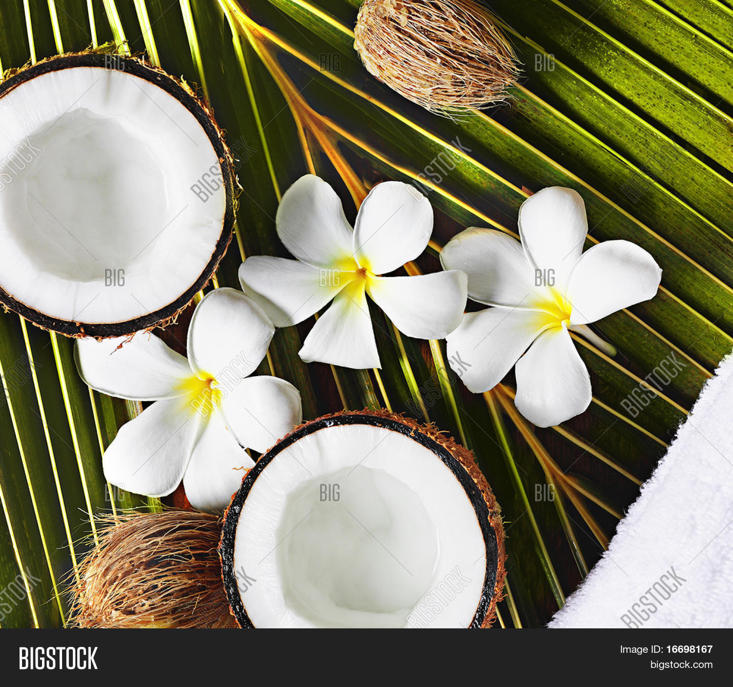 Coconuts And Flowers
