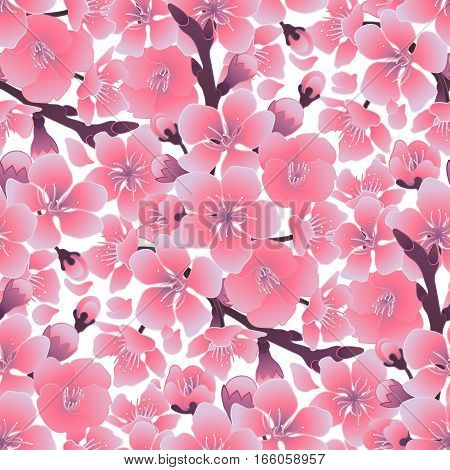 Graphic Sakura Vector & Photo (Free Trial) | Bigstock