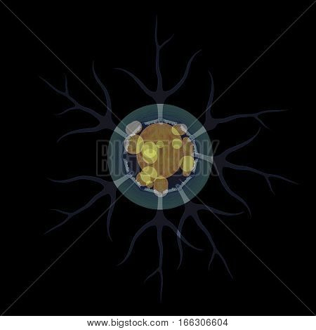 Rhizaria Images, Illustrations & Vectors (Free) - Bigstock