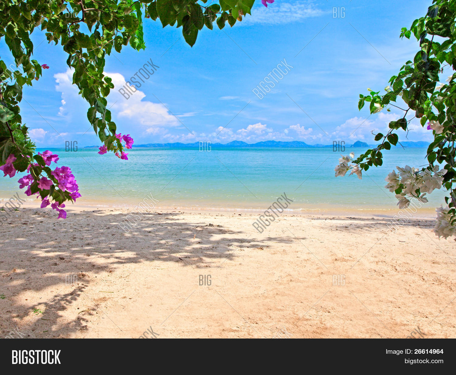 Floral Frame Beach Image & Photo (Free Trial) | Bigstock