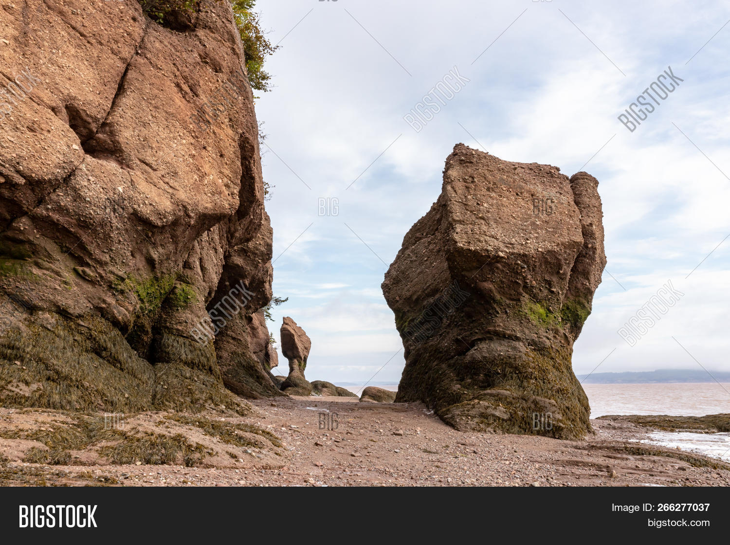Horizontal View Image & Photo (Free Trial) | Bigstock