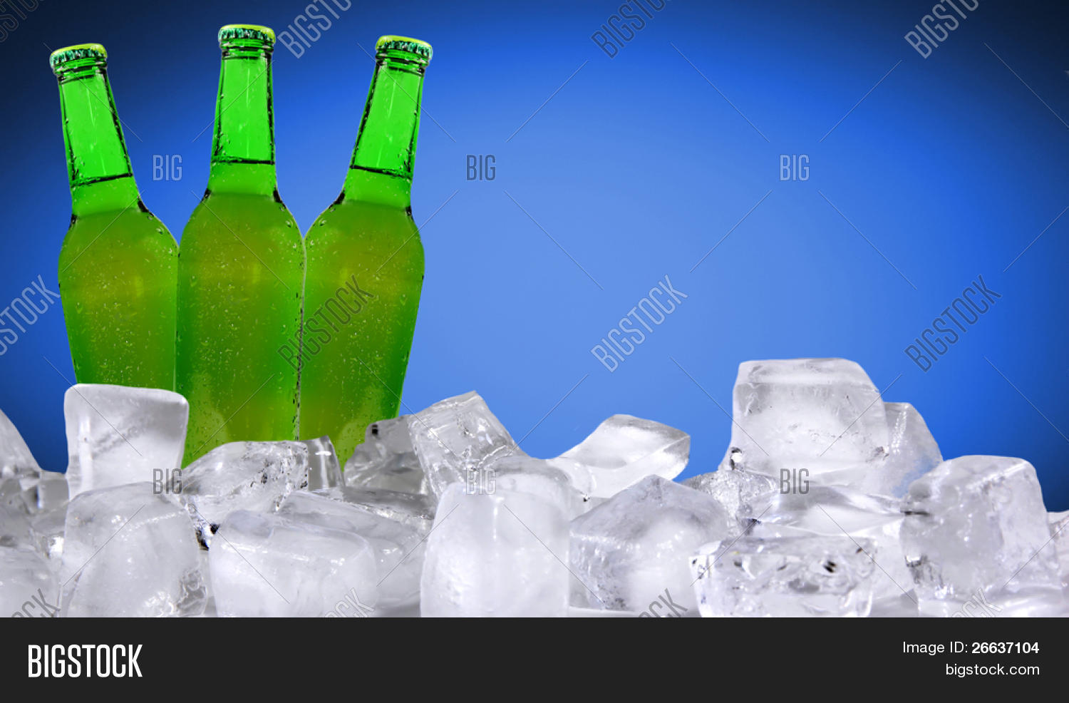 Cold Beer Bottles Ice Image & Photo (Free Trial) | Bigstock