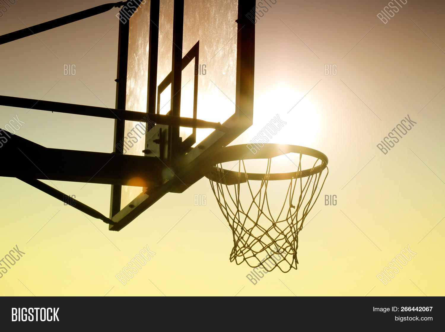 Basketball Hoop On Image & Photo (Free Trial) | Bigstock