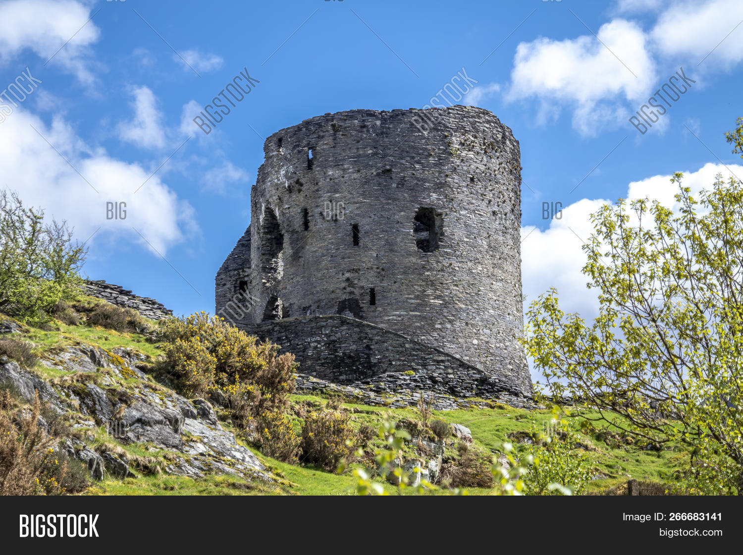 Dolbadarn Castle Image & Photo (Free Trial) | Bigstock
