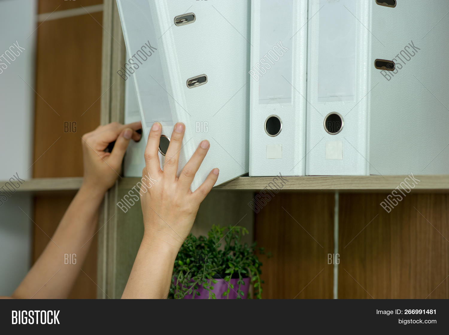 Hands Files Young Image & Photo (Free Trial) | Bigstock