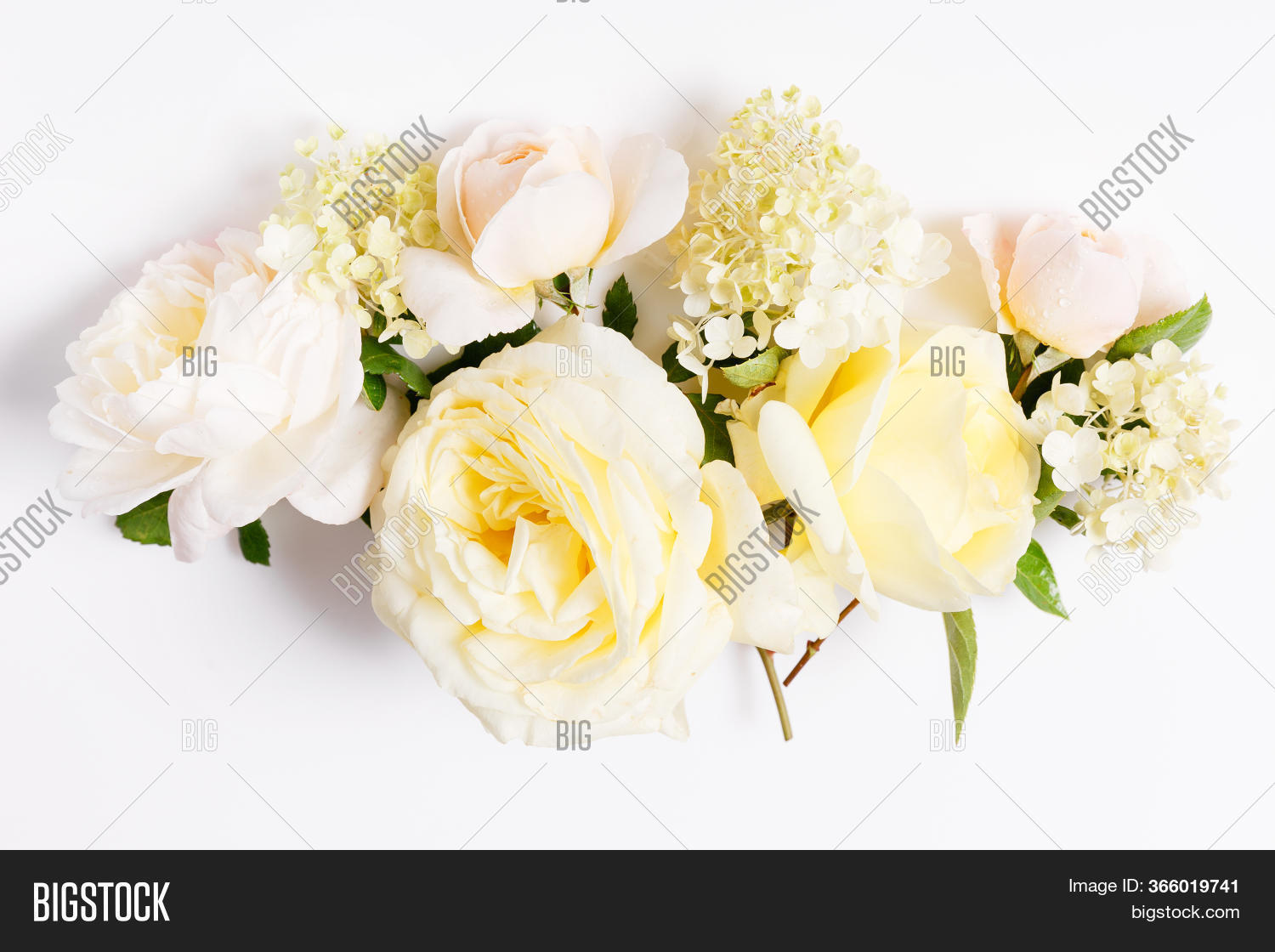 Festive Flower Image & Photo (Free Trial) | Bigstock