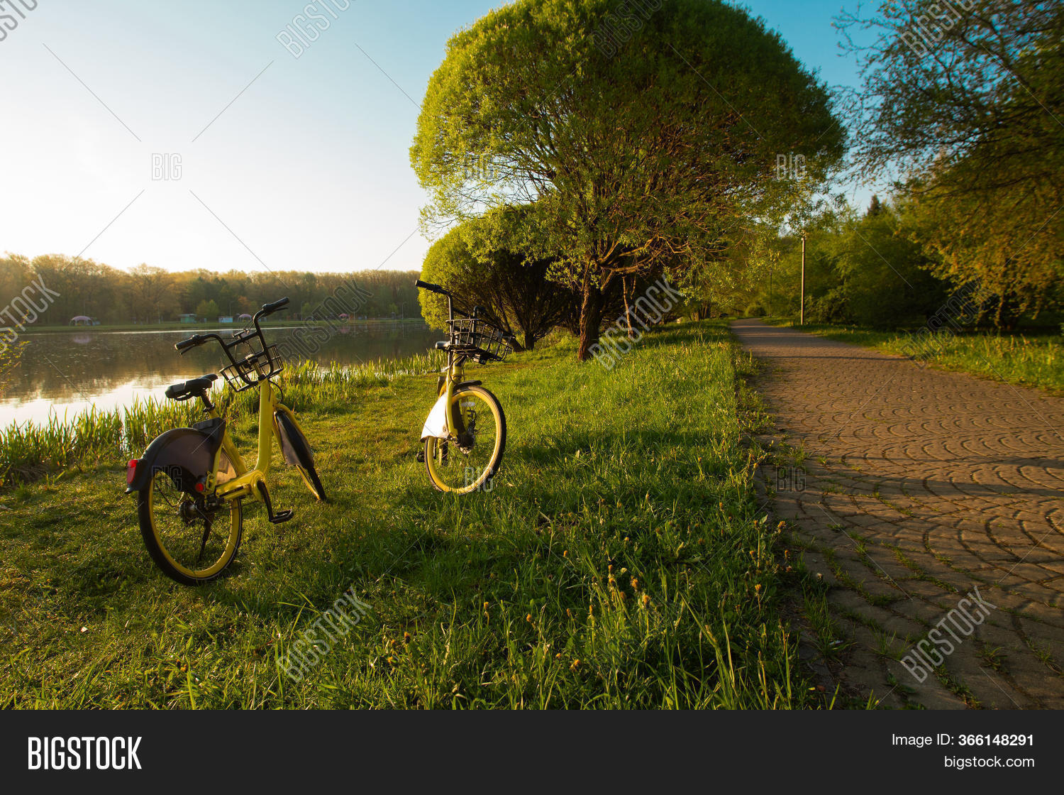 Two Yellow Bicycles Image & Photo (Free Trial) | Bigstock