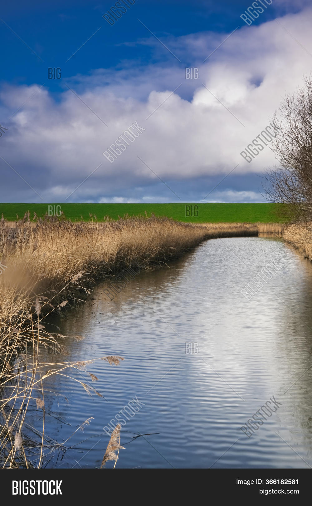 Landscape Netherlands Image & Photo (Free Trial) | Bigstock
