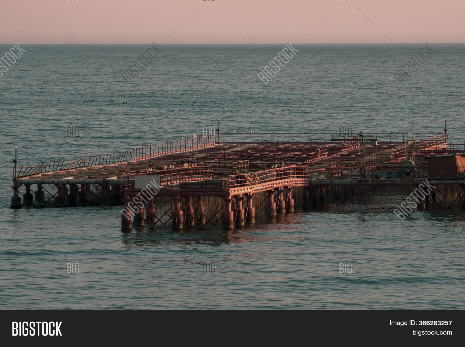 Mussel Farm High Class Image & Photo (Free Trial) | Bigstock