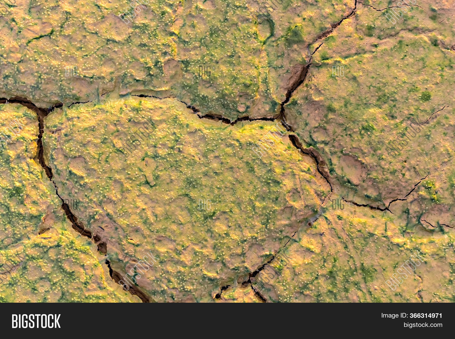 Yellow Orange Light On Image & Photo (Free Trial) | Bigstock