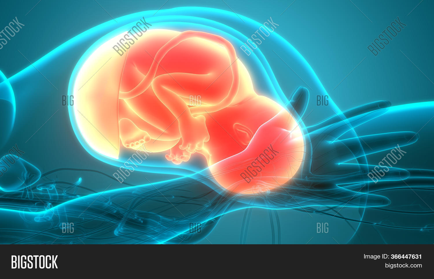3d Illustration Image & Photo (Free Trial) | Bigstock