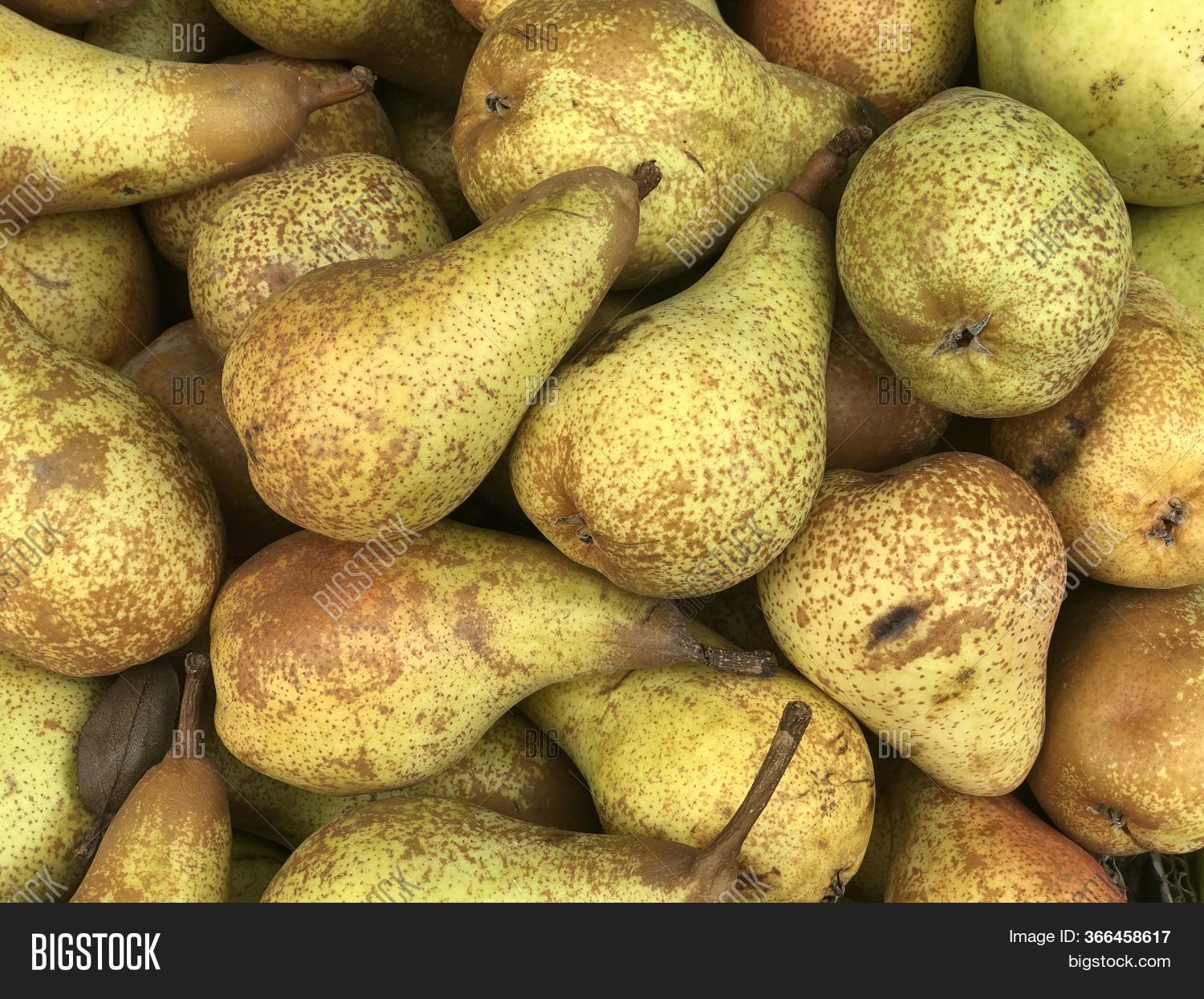 Fresh Pears Fruit Image & Photo (Free Trial) | Bigstock