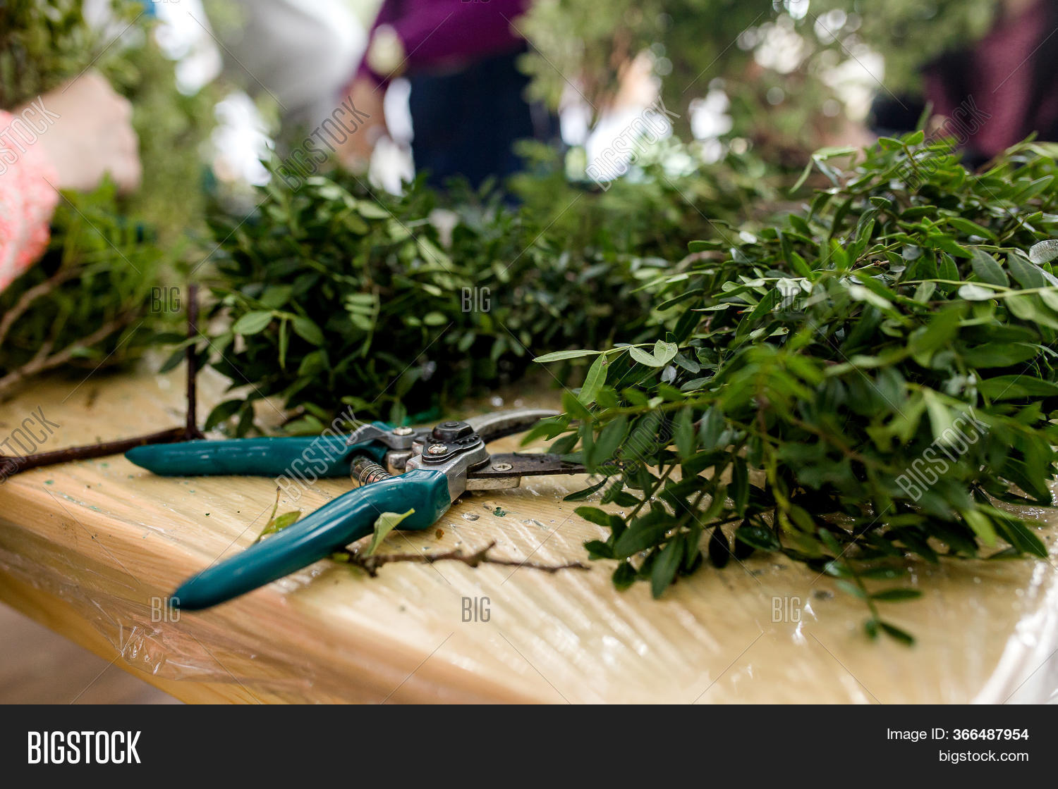 Florists Tool, Image & Photo (Free Trial) | Bigstock