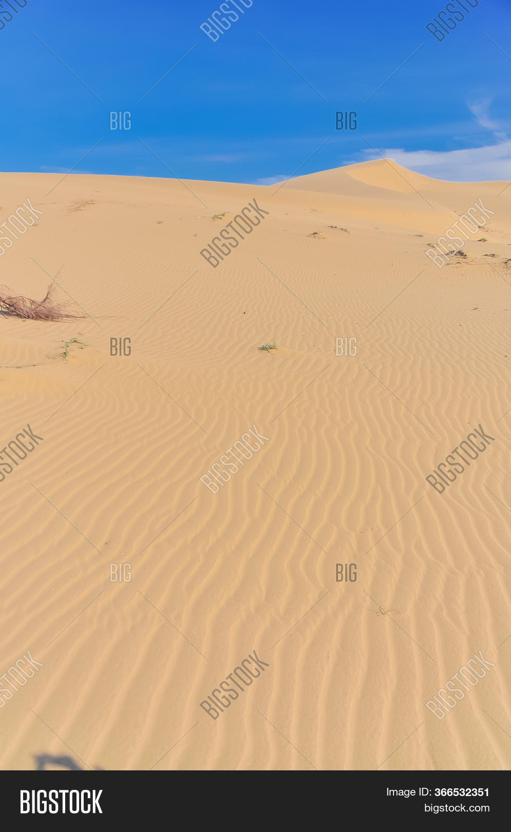 Wide Angle View Desert Image & Photo (Free Trial) | Bigstock