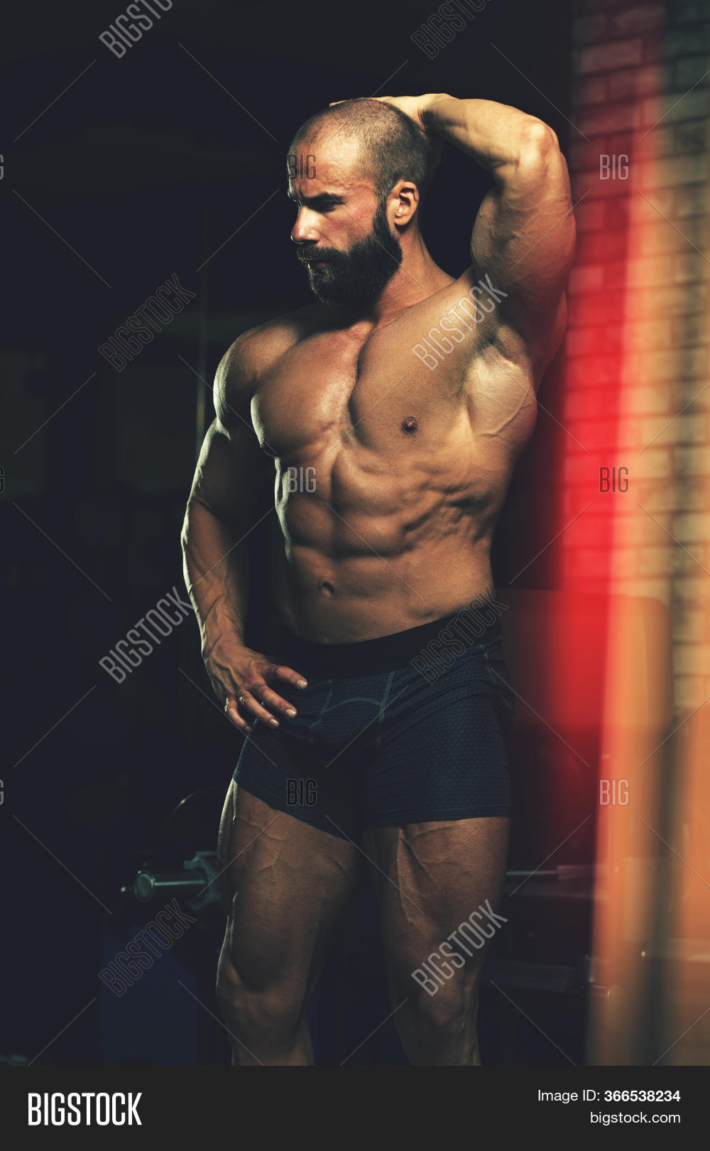 Young Bodybuilder Image & Photo (Free Trial) | Bigstock