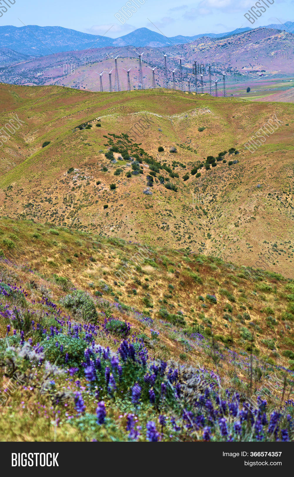 Rolling Hills Lush Image & Photo (Free Trial) | Bigstock
