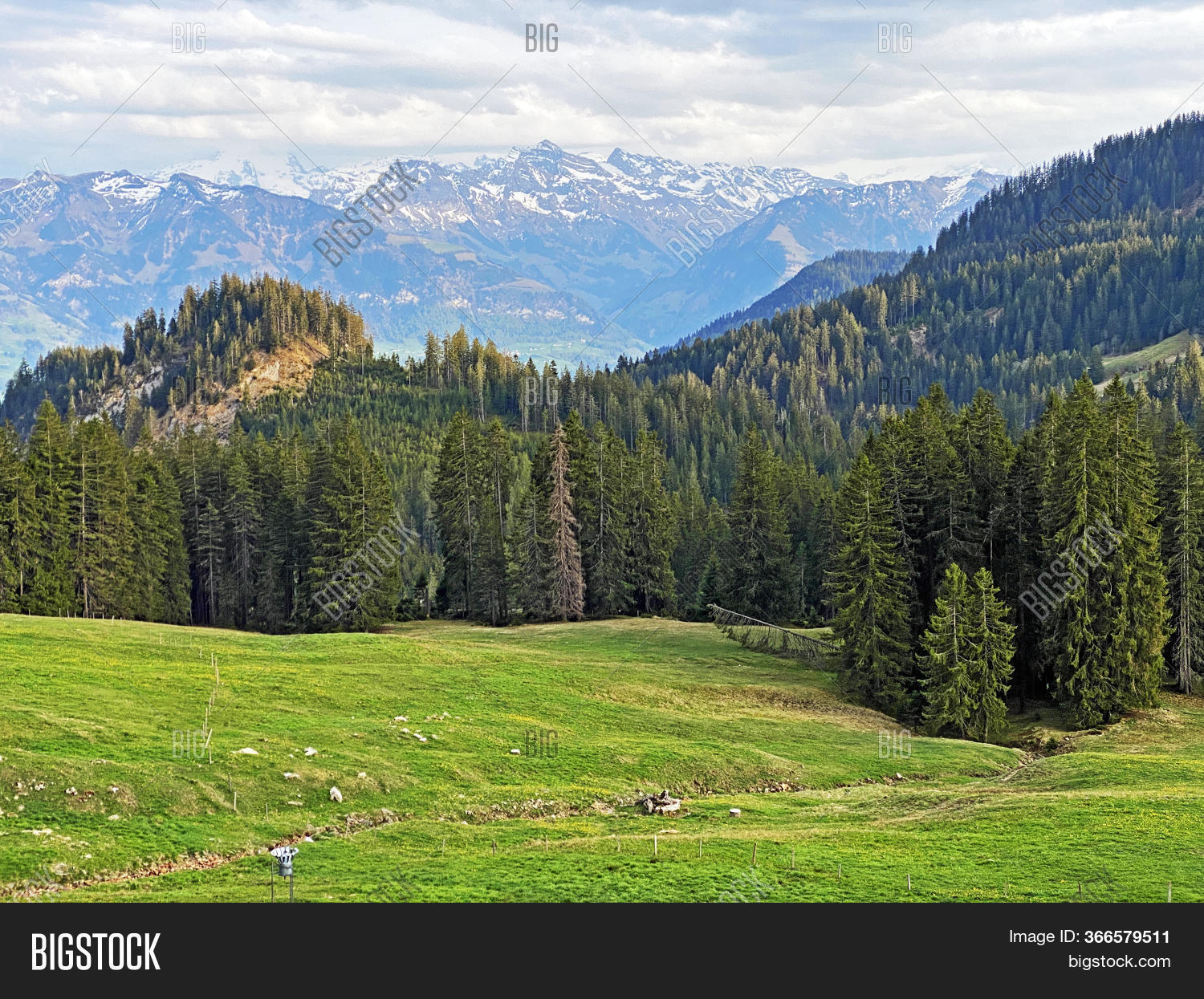 Alpine Pastures Image & Photo (Free Trial) | Bigstock