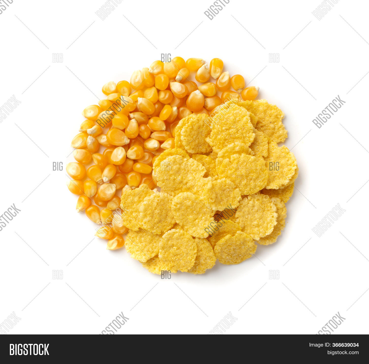 Yellow Corn Cereal, Image & Photo (Free Trial) | Bigstock