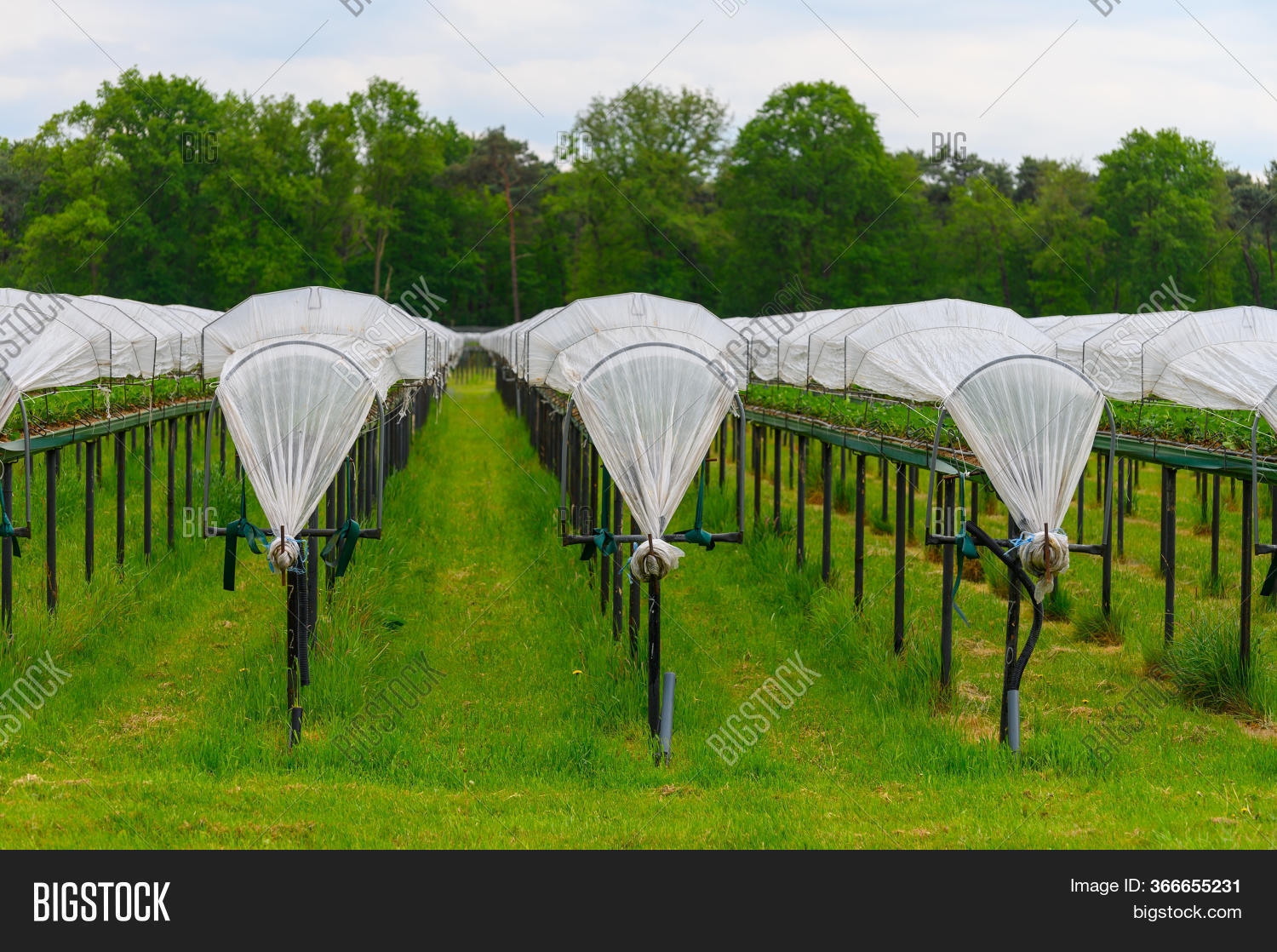 Bio Farming Image & Photo (Free Trial) | Bigstock
