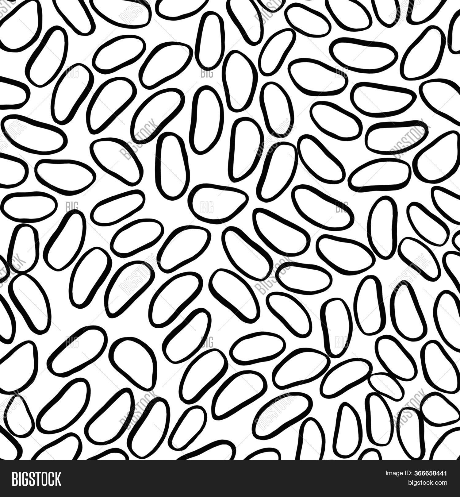 Animal Print, Dots. Image & Photo (Free Trial) | Bigstock