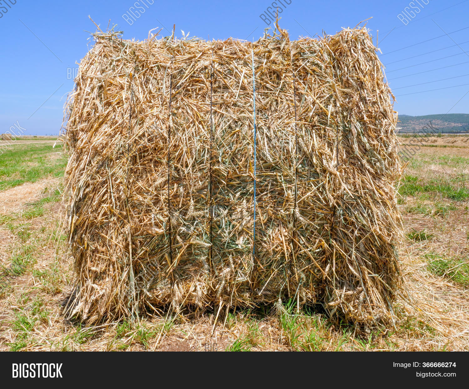 Large Square Hay Bale Image & Photo (Free Trial) | Bigstock