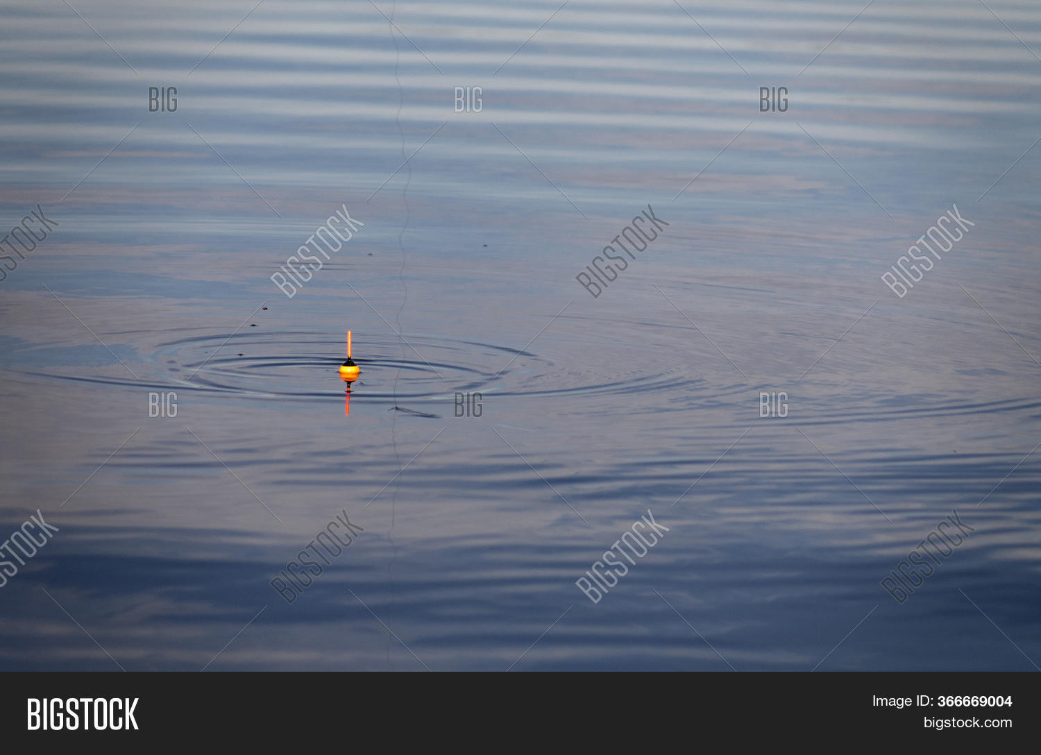 Fishing Float On Water Image & Photo (Free Trial) | Bigstock