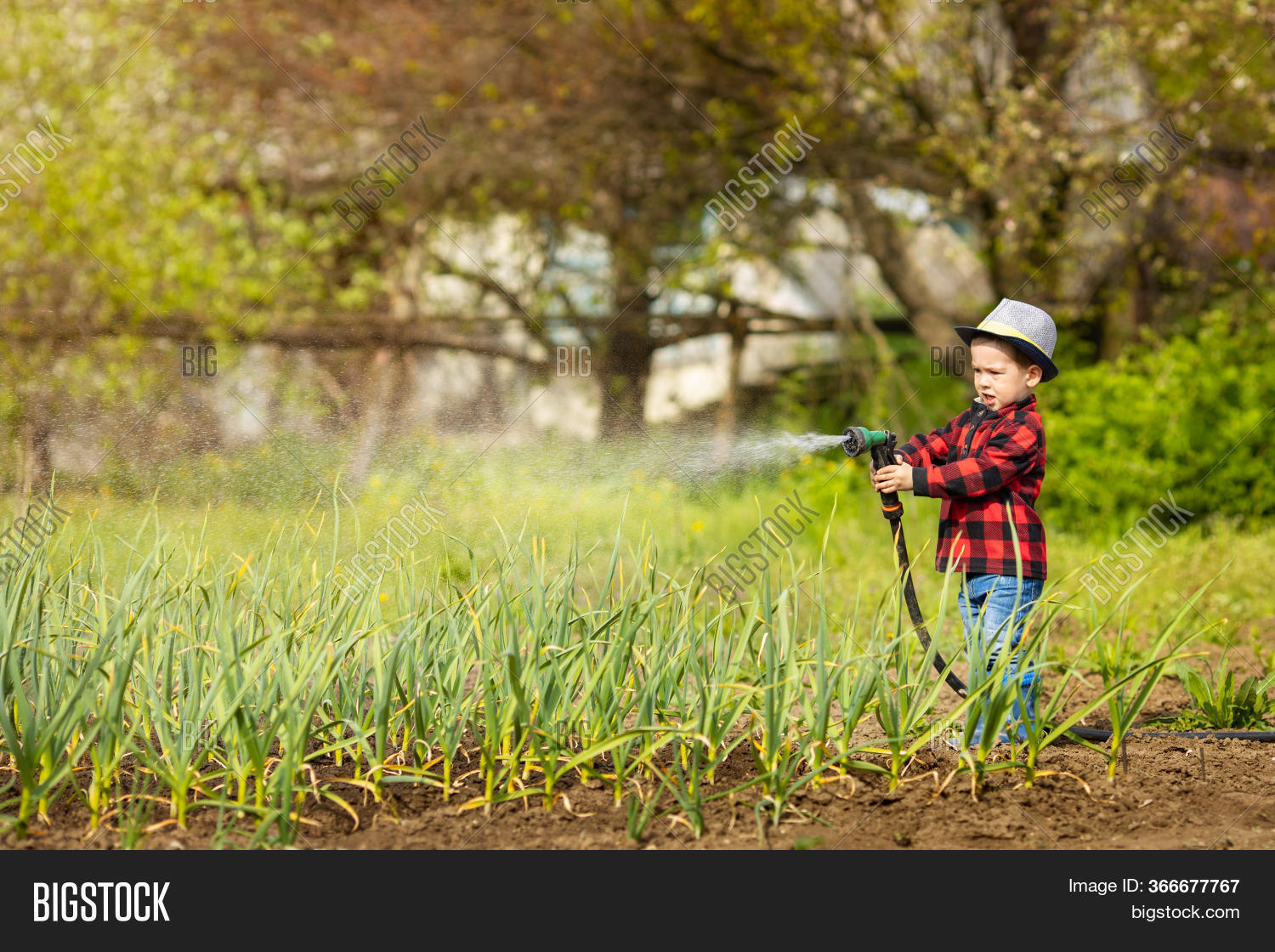 Little Boy Gardener Image & Photo (Free Trial) | Bigstock