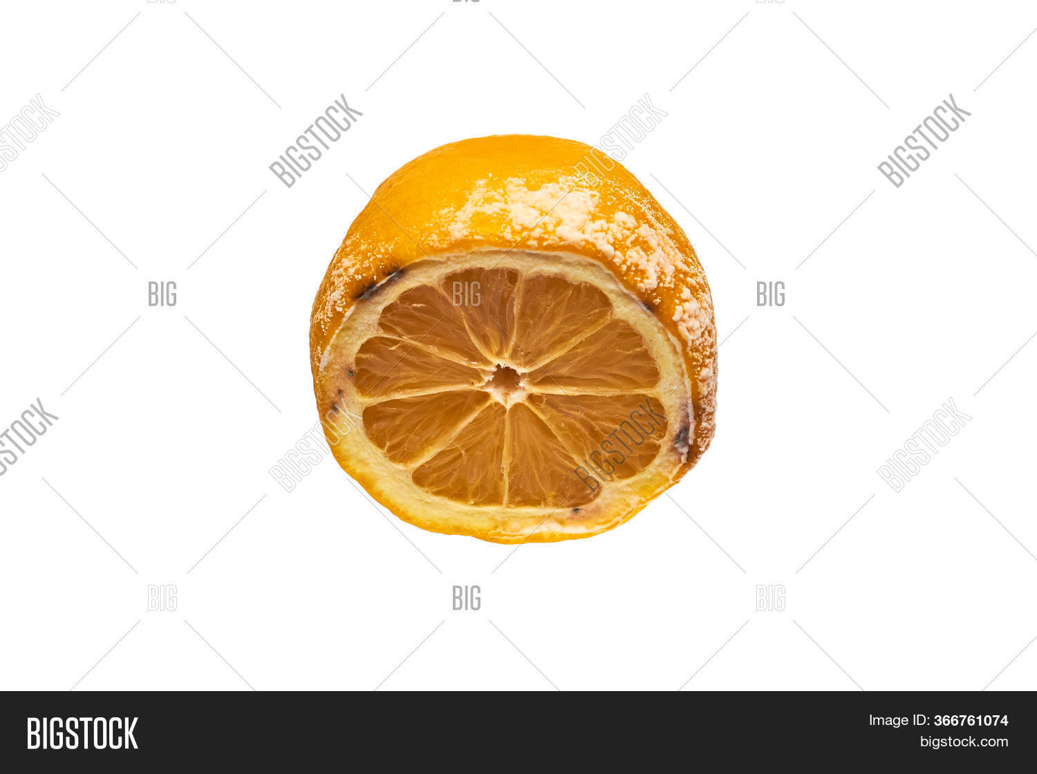 Rotten Lemon Mold. Image & Photo (Free Trial) | Bigstock