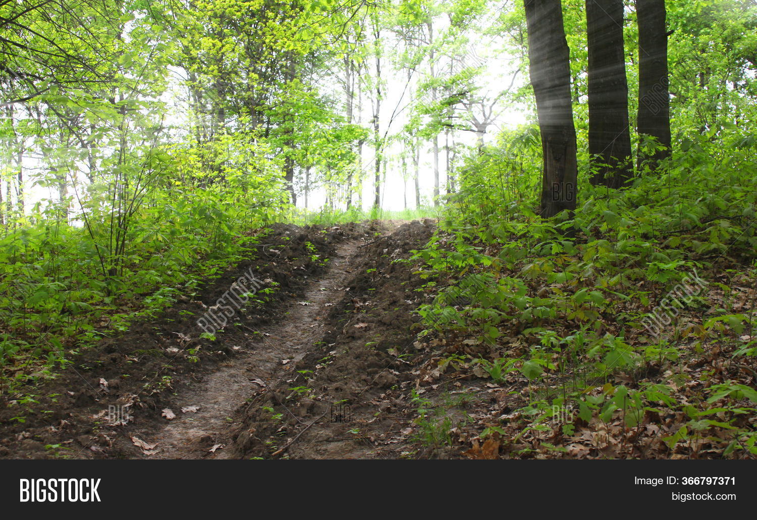 Summer Fire Ditch Image & Photo (Free Trial) | Bigstock