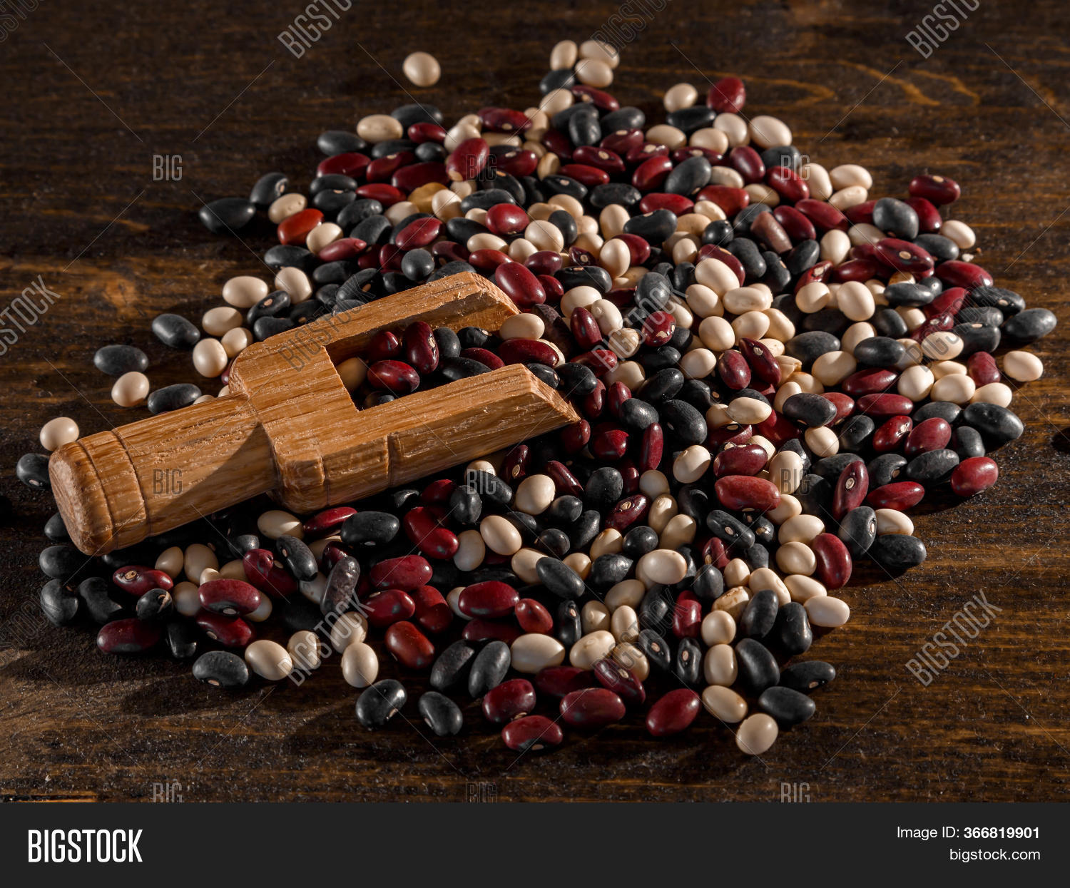Several Sorts Beans Image & Photo (Free Trial) | Bigstock