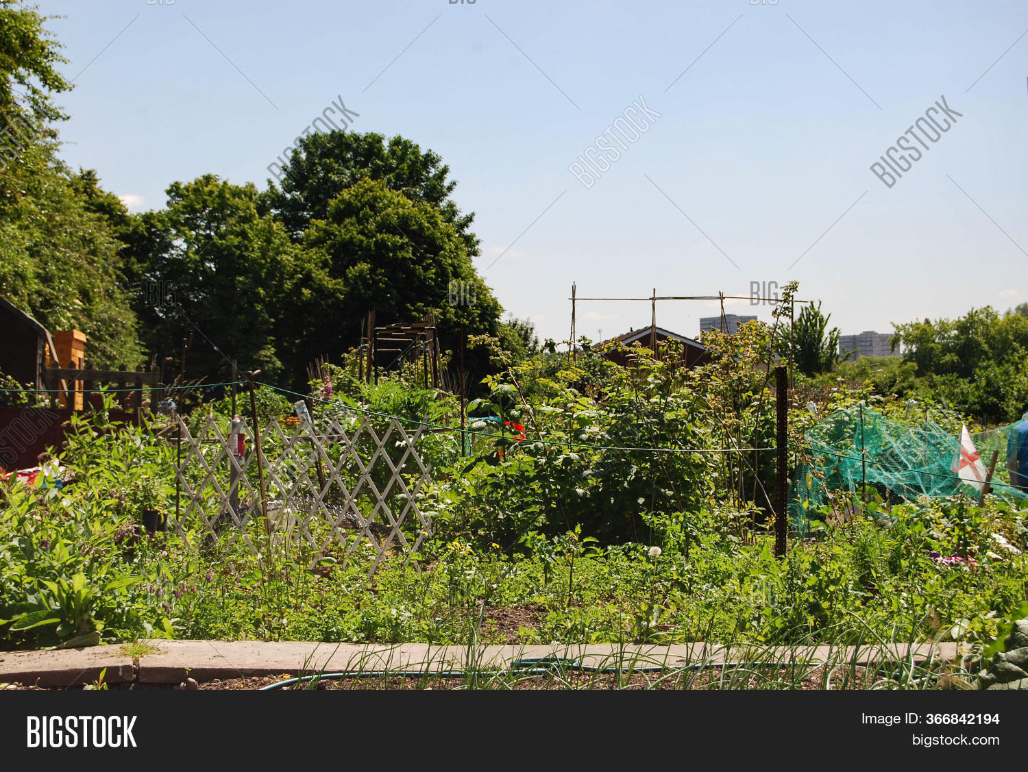 Allotment Grow Your Image & Photo (Free Trial) | Bigstock