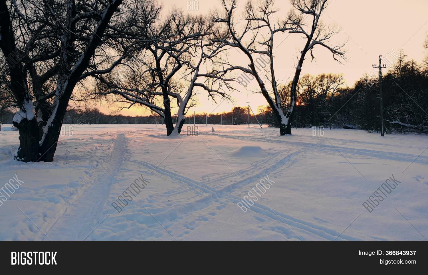 Top View Winter Forest Image & Photo (Free Trial) | Bigstock