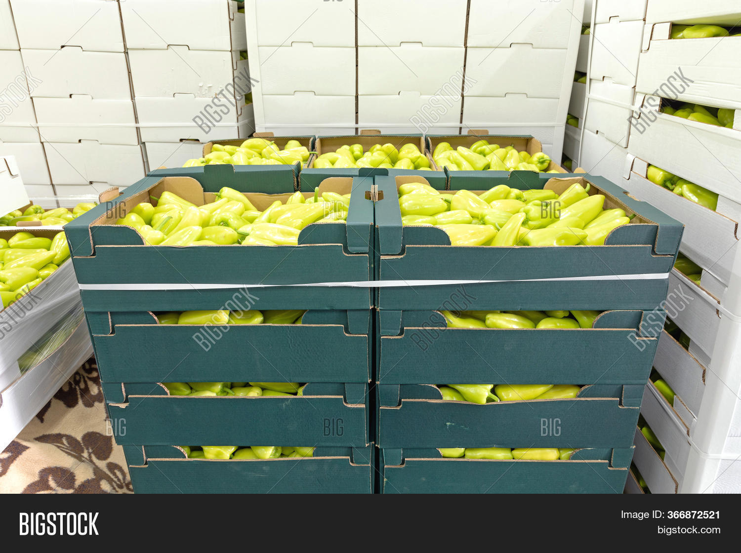 Green Peppers Boxes Image & Photo (Free Trial) | Bigstock