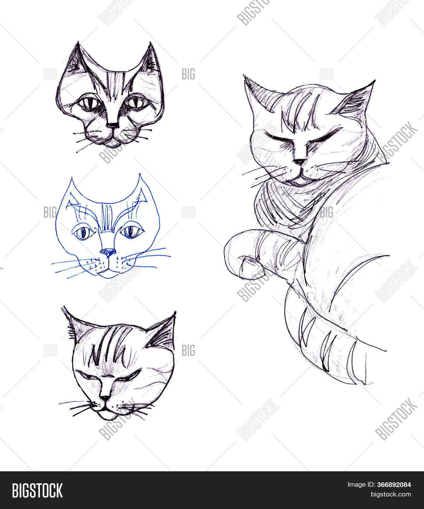 Set Graphic Drawings Image & Photo (Free Trial) | Bigstock