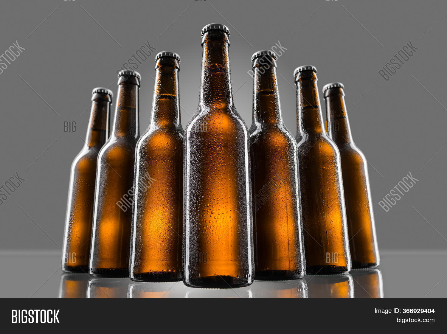 Seven Beer Bottles On Image & Photo (Free Trial) | Bigstock