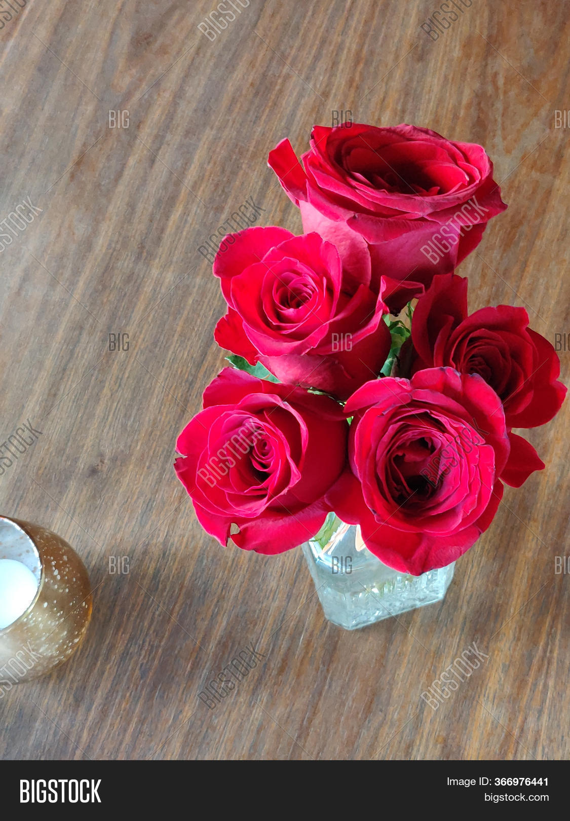 Red Rose Vase, Vintage Image & Photo (Free Trial) | Bigstock
