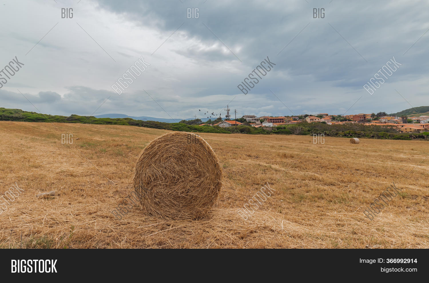 Hay Bail Harvesting Image & Photo (Free Trial) | Bigstock
