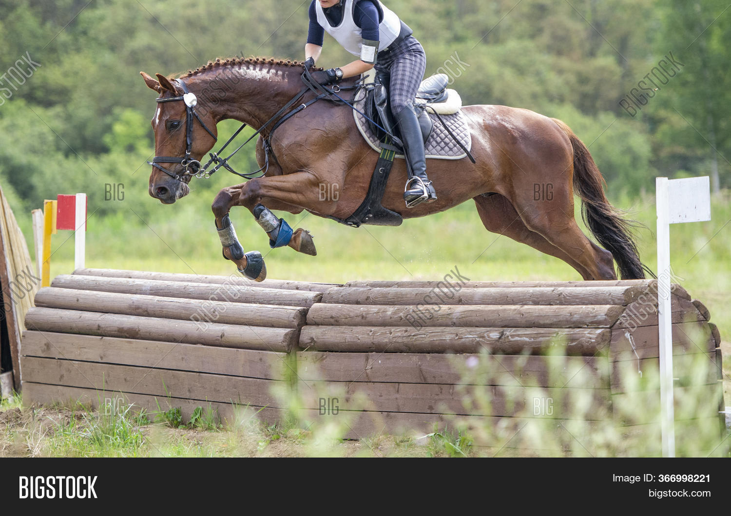 Eventing: Equestrian Image & Photo (Free Trial) | Bigstock
