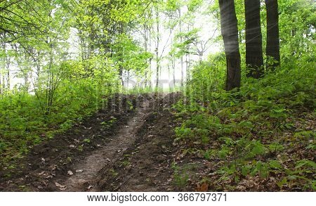 Summer Fire Ditch Image & Photo (Free Trial) | Bigstock