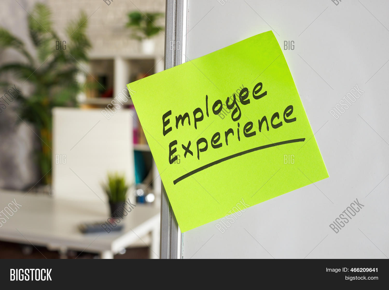 Employee Experience Image & Photo (Free Trial) | Bigstock