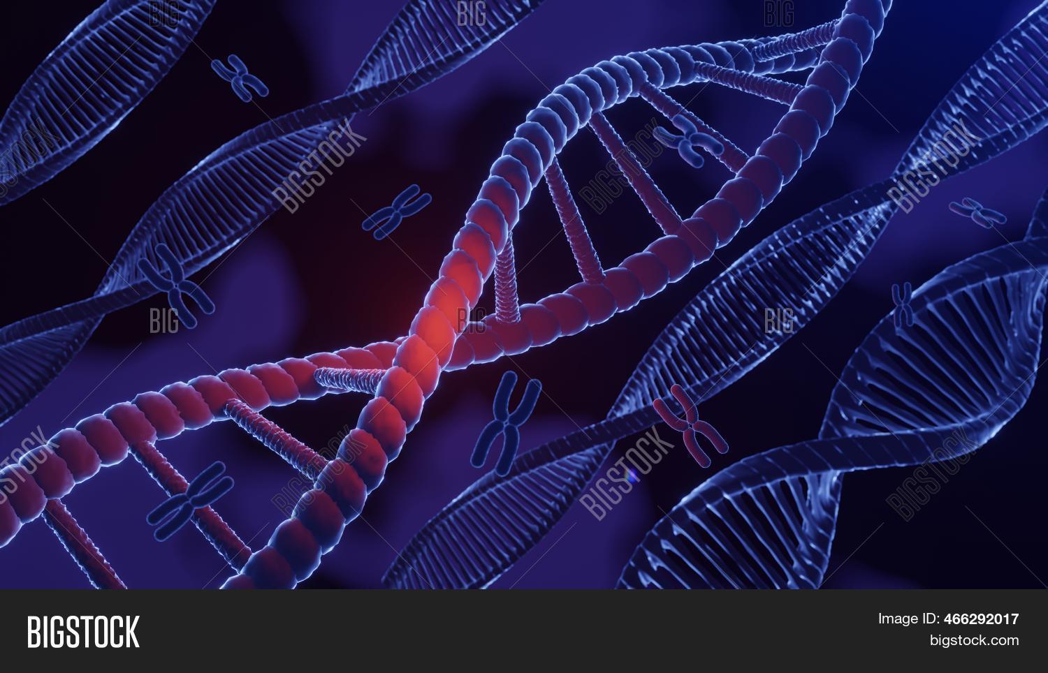 Dna Spiral Structure. Image & Photo (Free Trial) | Bigstock