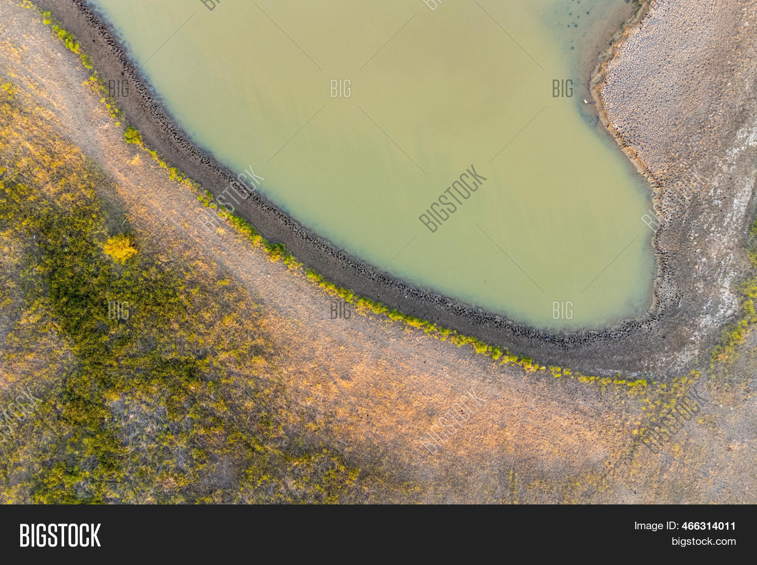 Drone Top View Swamp. Image & Photo (Free Trial) | Bigstock