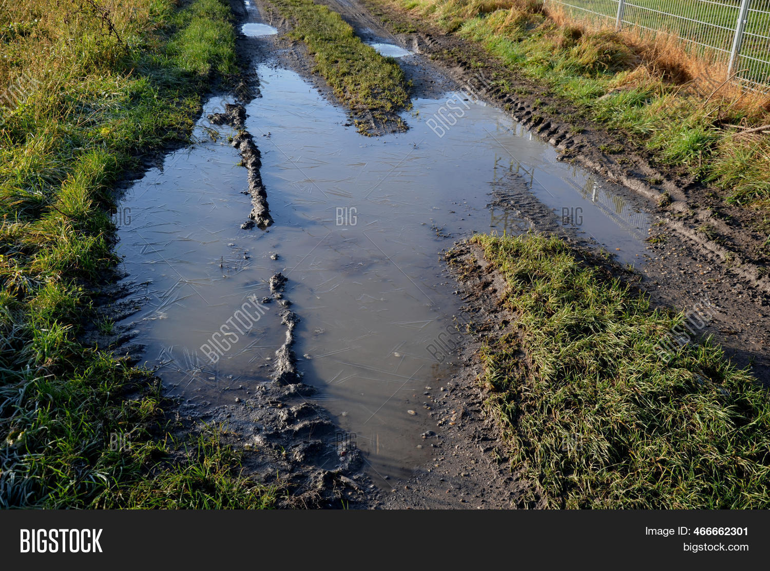 Waterlogged Soil Park Image & Photo (Free Trial) | Bigstock