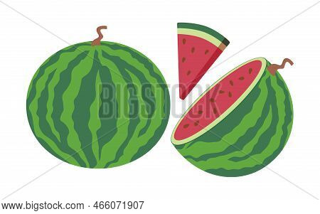 Whole Cut Watermelon Vector & Photo (Free Trial) | Bigstock