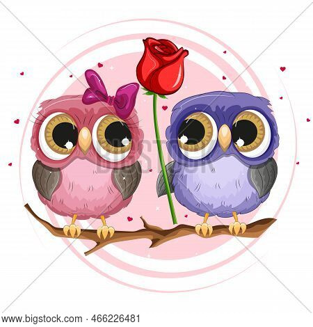 Two Cute Cartoon Owls Vector & Photo (Free Trial) | Bigstock